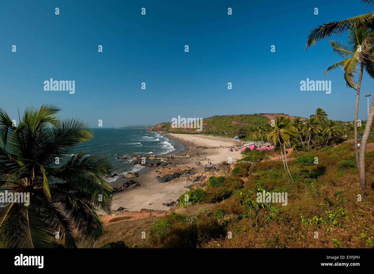 Beach and blue sky with palm trees; Vagator, Goa, India Stock Photo - Alamy