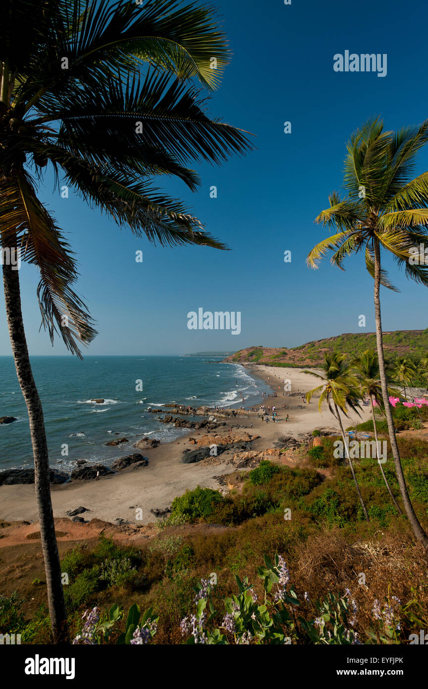 Beach and blue sky with palm trees; Vagator, Goa, India Stock Photo - Alamy