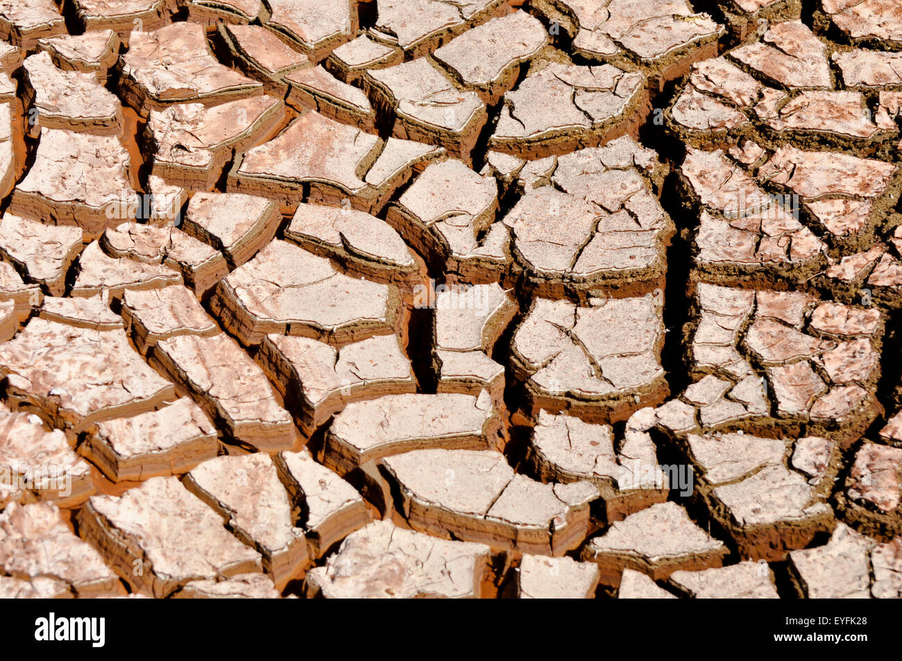 Cracks desert sand hi-res stock photography and images - Alamy