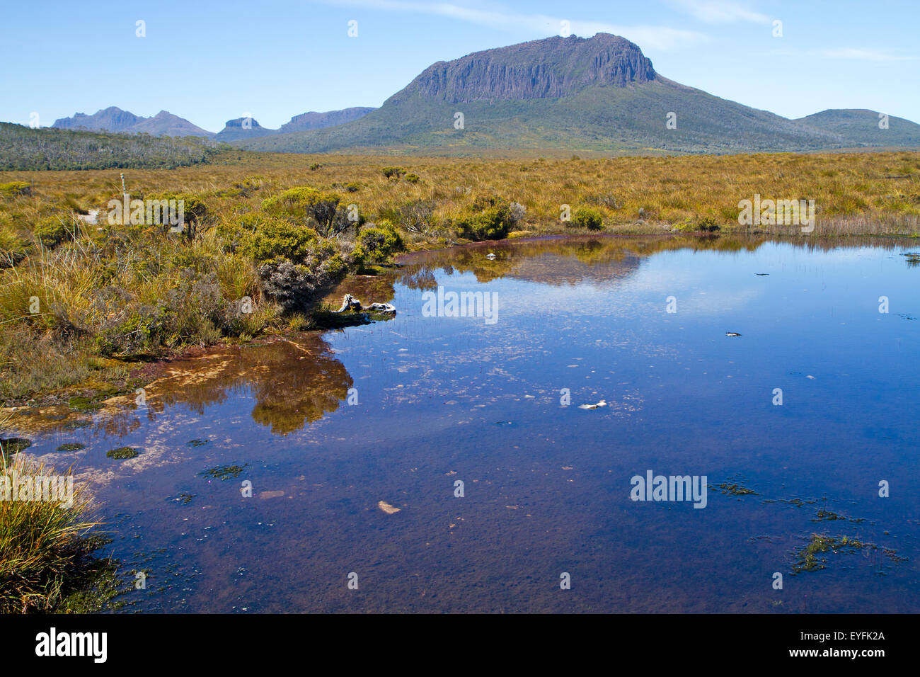 Mt Pelion West and Mt Ossa (left) viewed along the Overland Track Stock ...