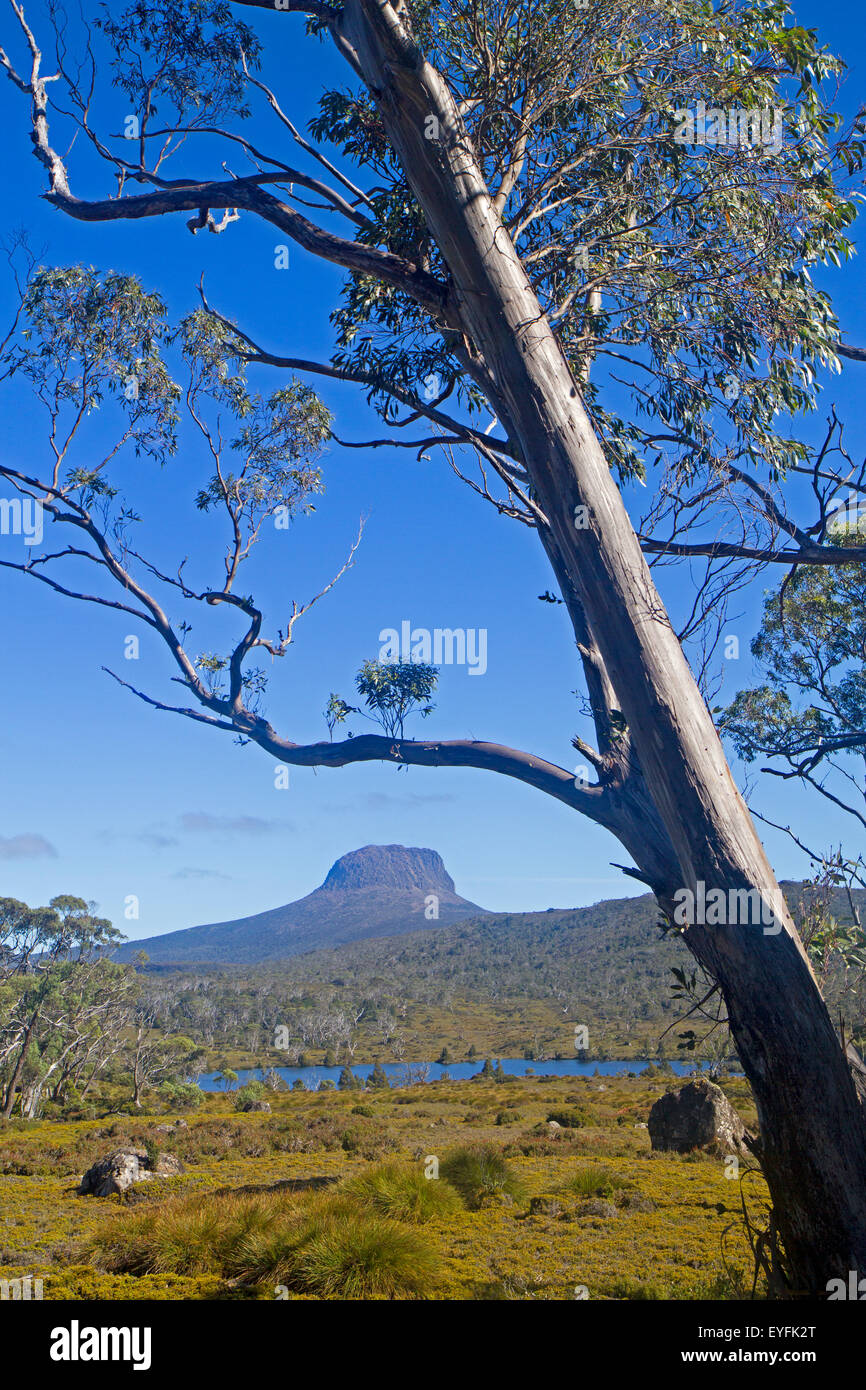 Barn Bluff viewed across Lake Windermere along the Overland Track Stock ...