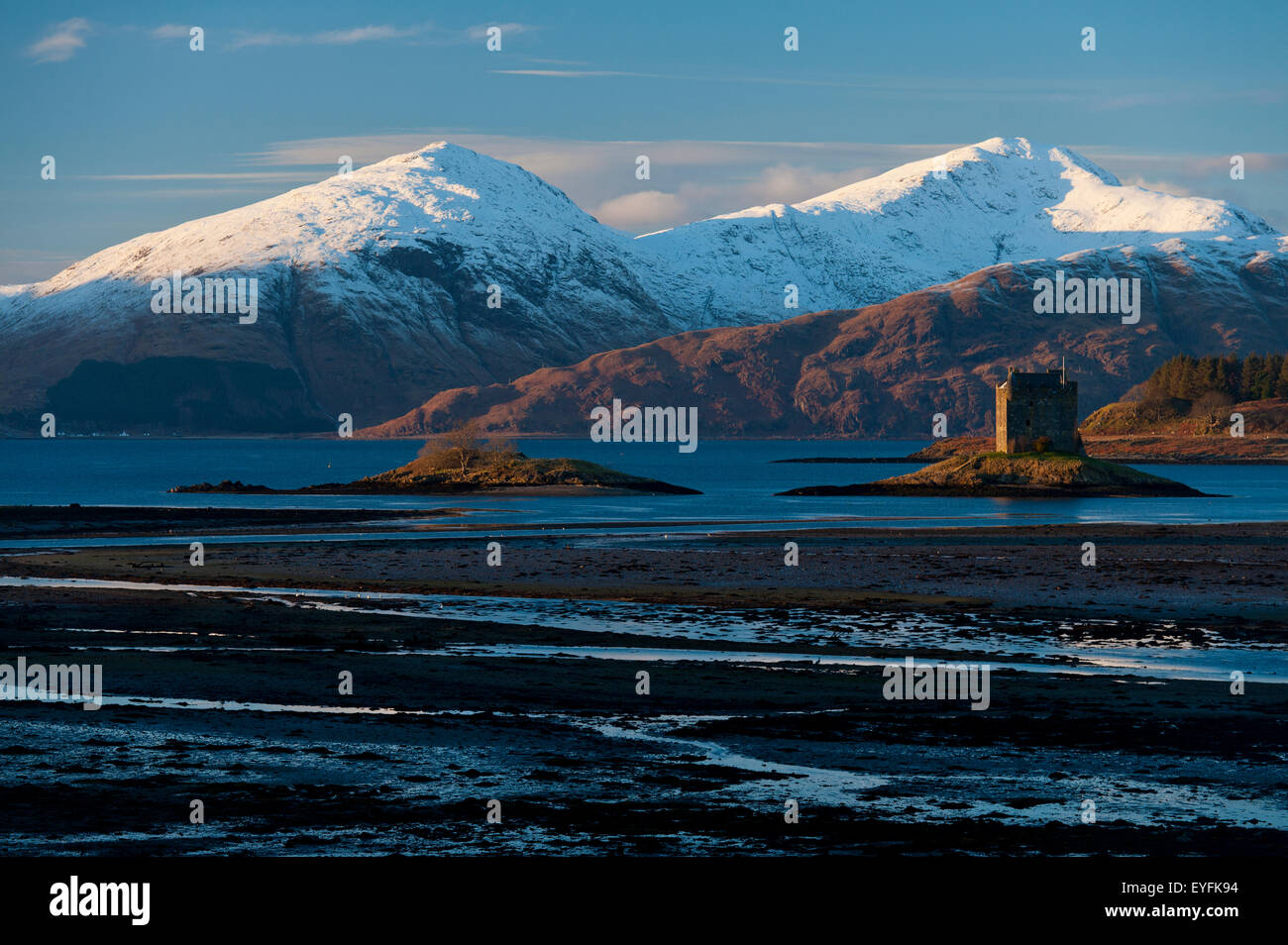 Castle Stalker; Appin, Argyll and Bute, Scotland Stock Photo - Alamy