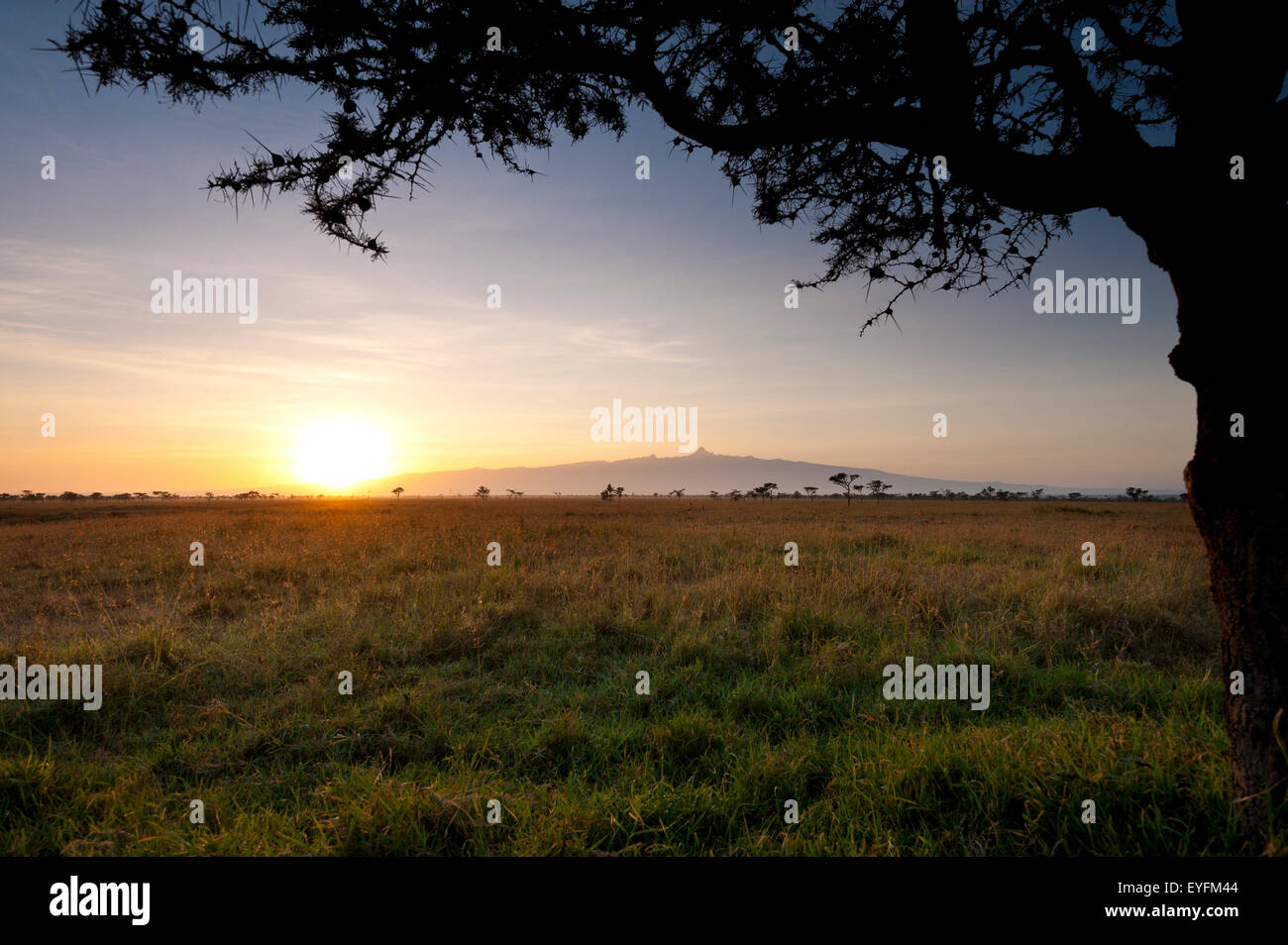 Mt kenya wildlife conservancy hi-res stock photography and images - Alamy