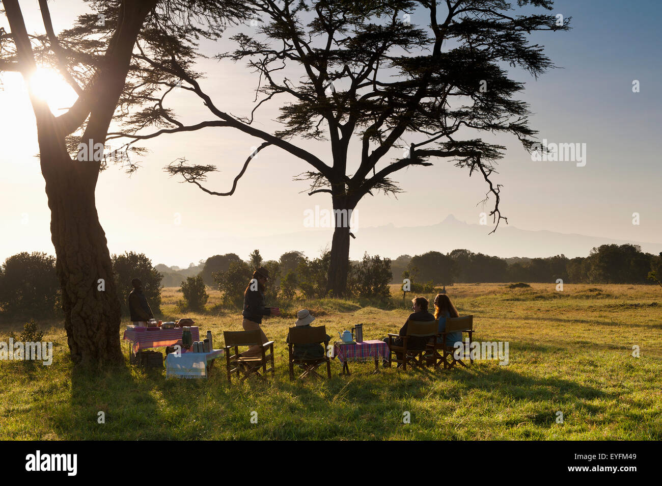 Group people sitting under tree africa hi-res stock photography and ...