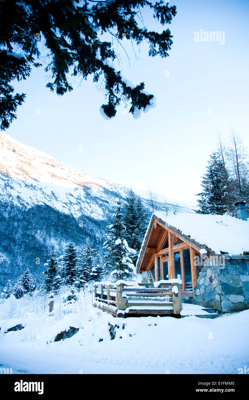 Winter alpine scenery with mountains, snow and a pine forest with ...