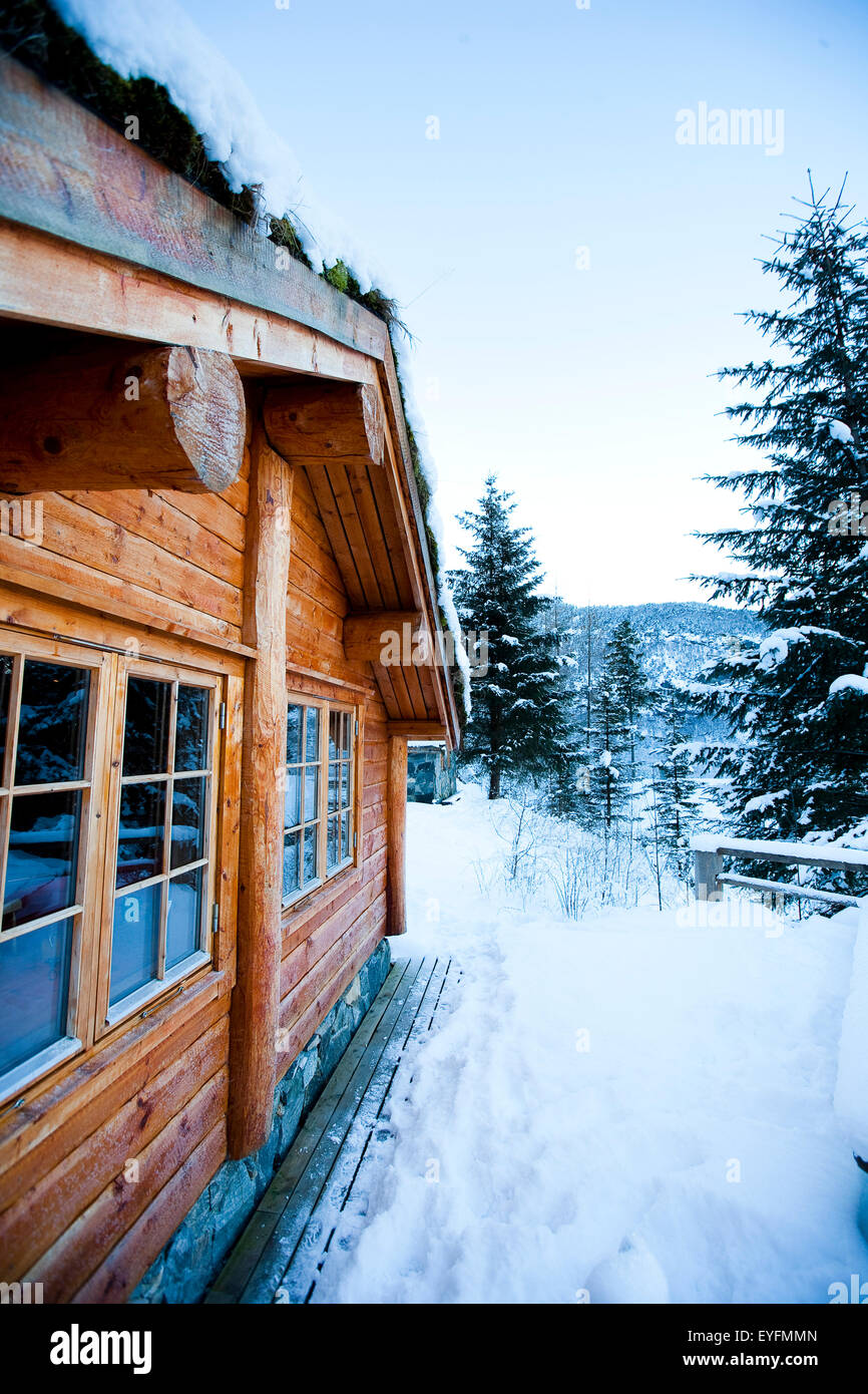 Winter alpine scenery with mountains, snow and a pine forest with ...