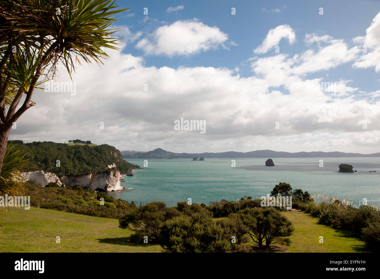 Coromandel Peninsula - New Zealand Stock Photo - Alamy