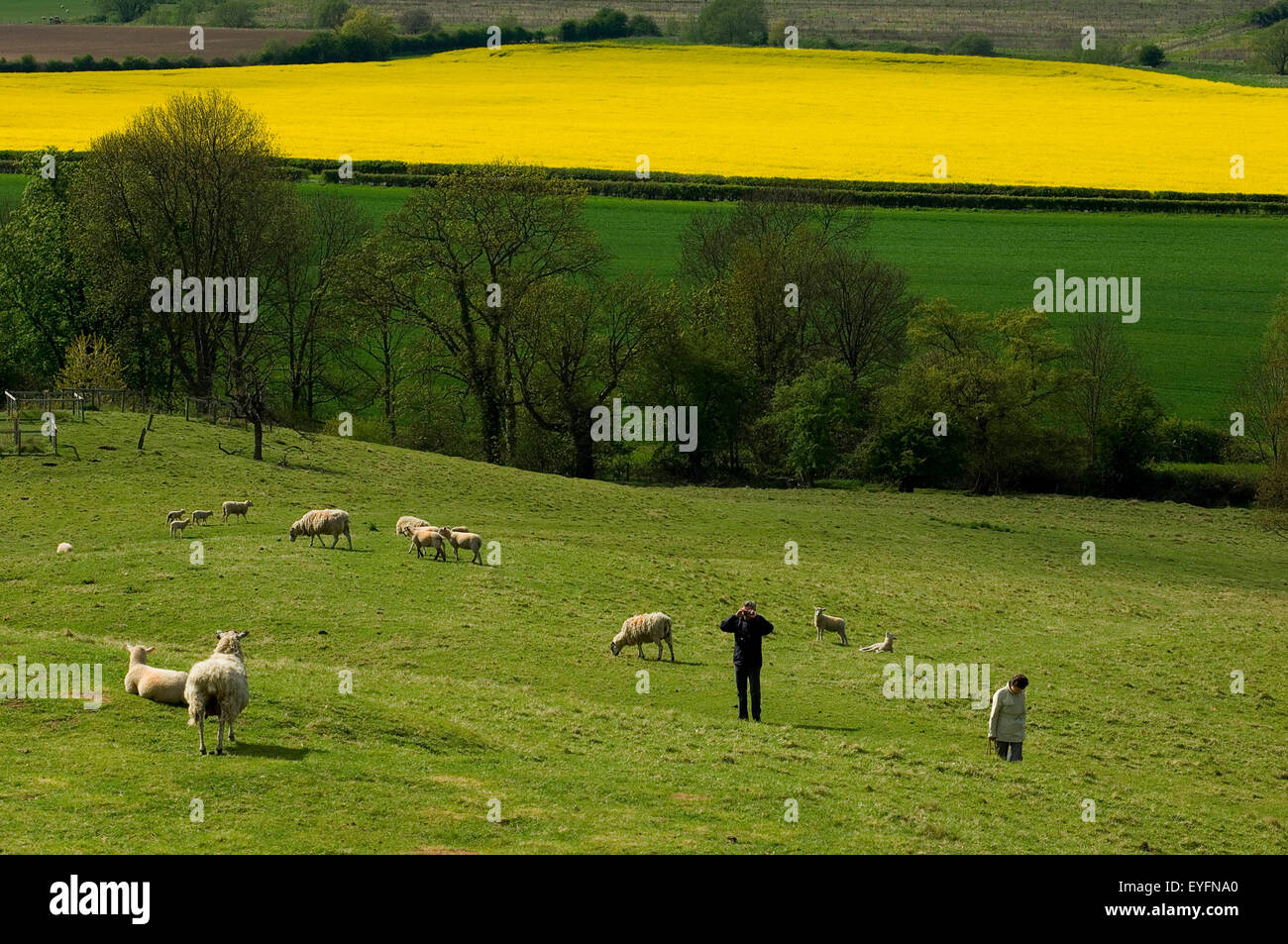 Leicester leicestershire castle hi-res stock photography and images - Alamy
