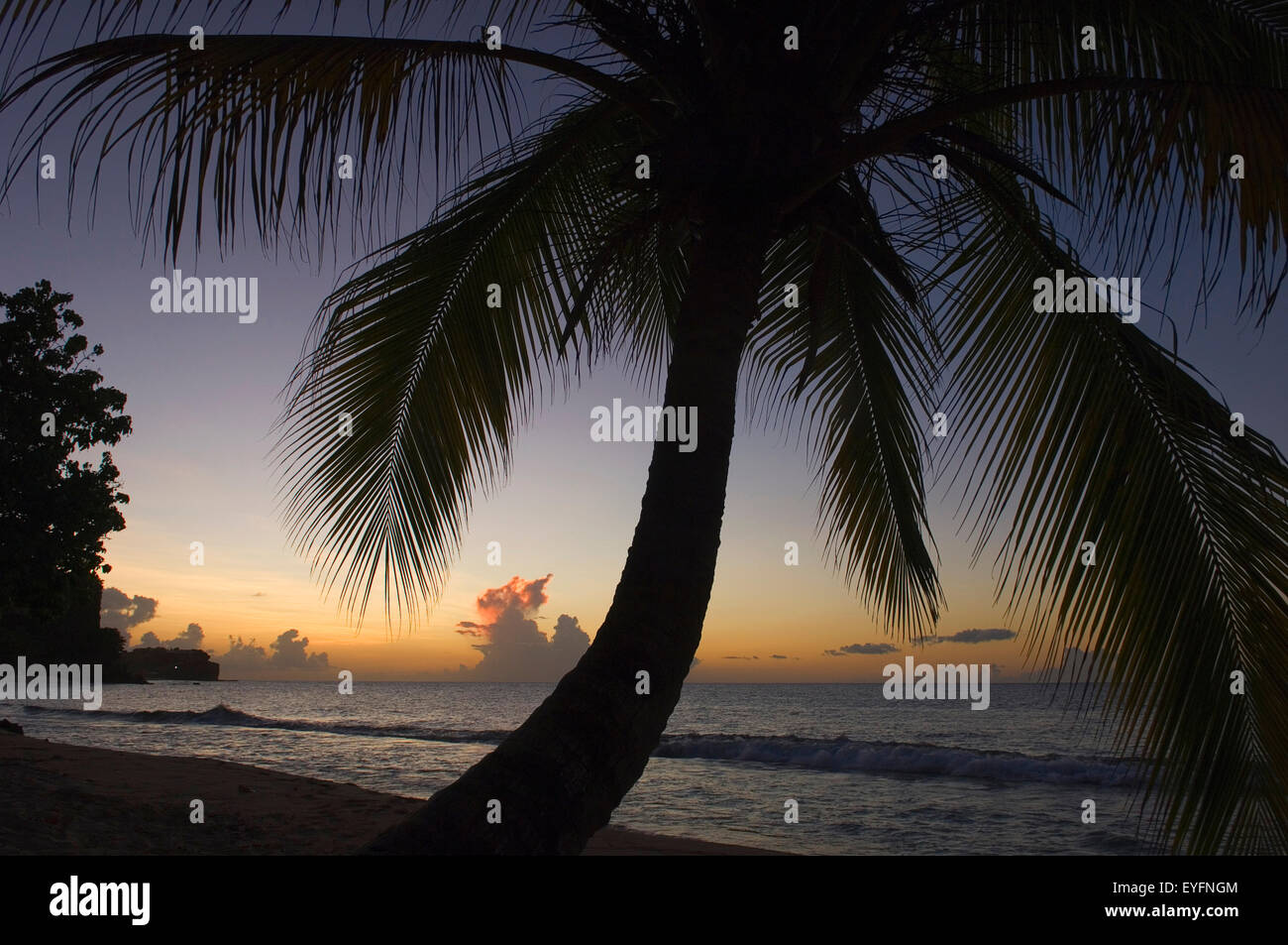 Caribbean, Sunset over Magazine Beach; Grenada Stock Photo - Alamy