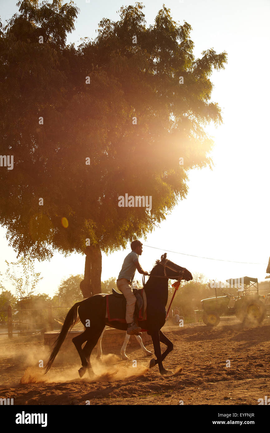 Mawari hi-res stock photography and images - Alamy