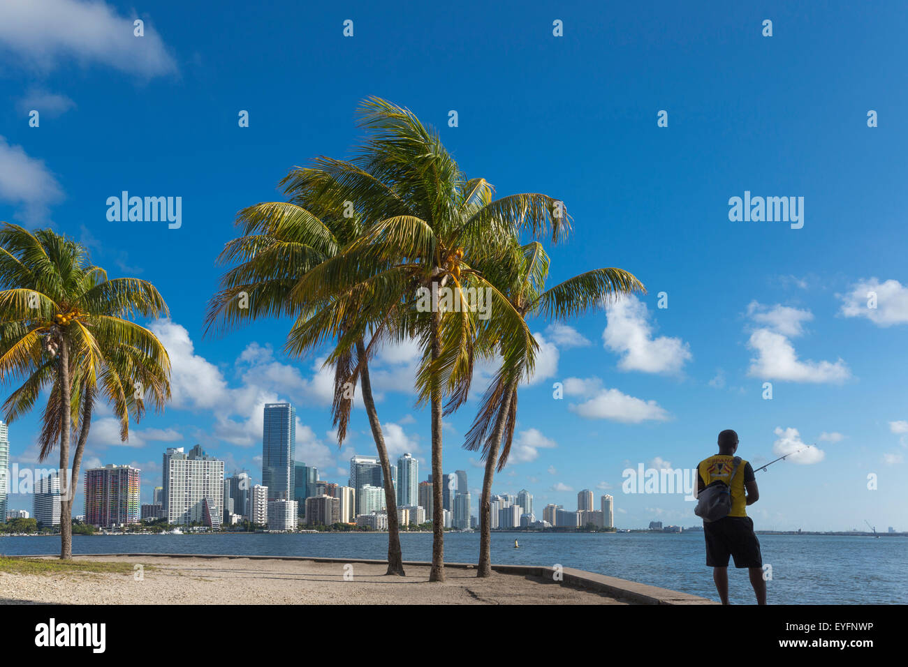 Downtown Miami Skyline Day