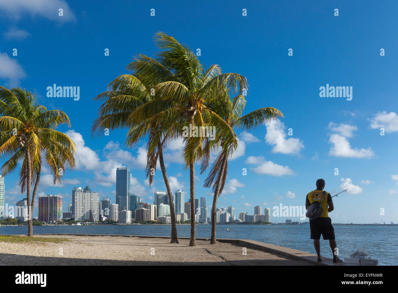 Skyline miami man hi-res stock photography and images - Alamy