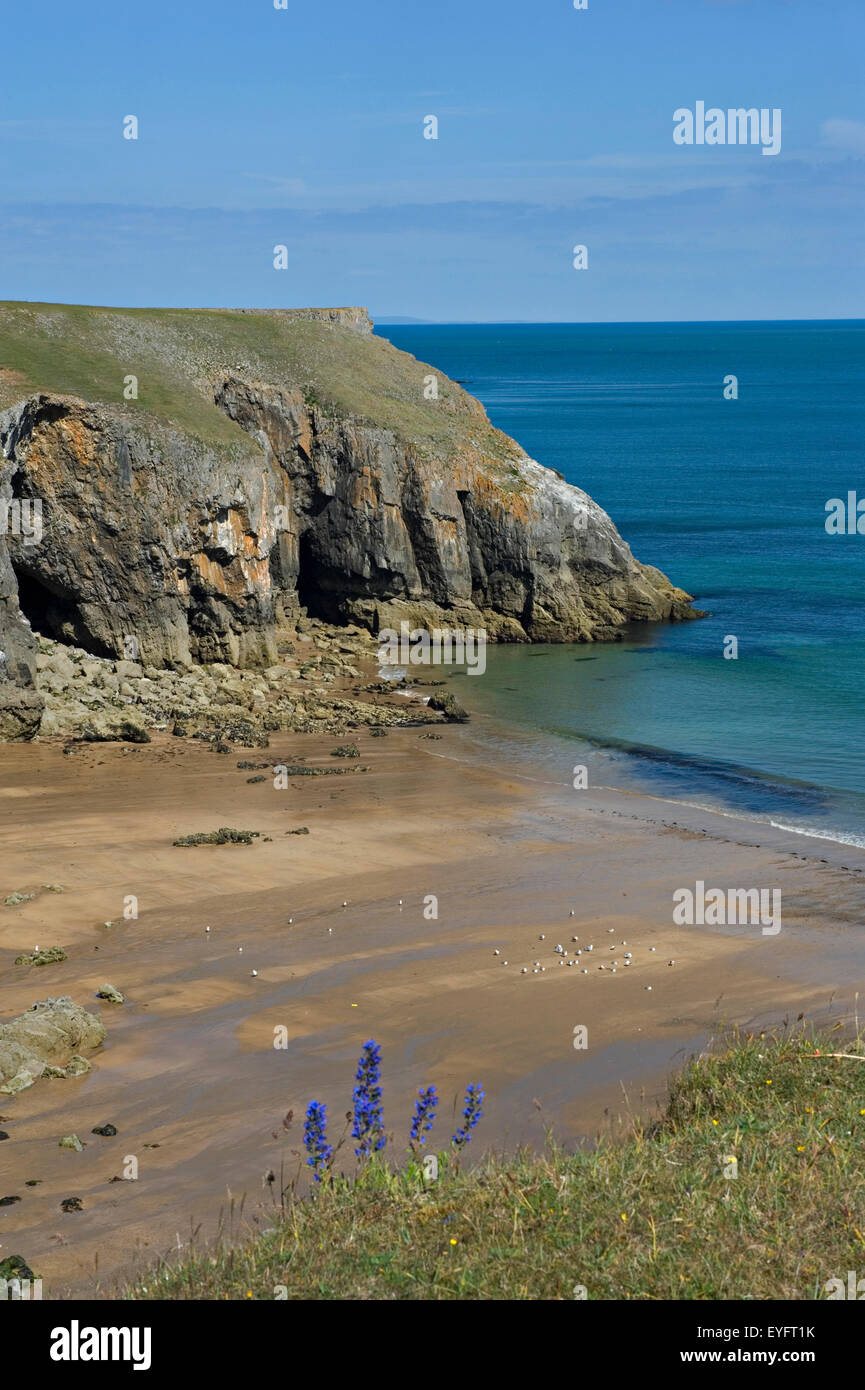 Stackpole estate pembrokeshire hi-res stock photography and images - Alamy