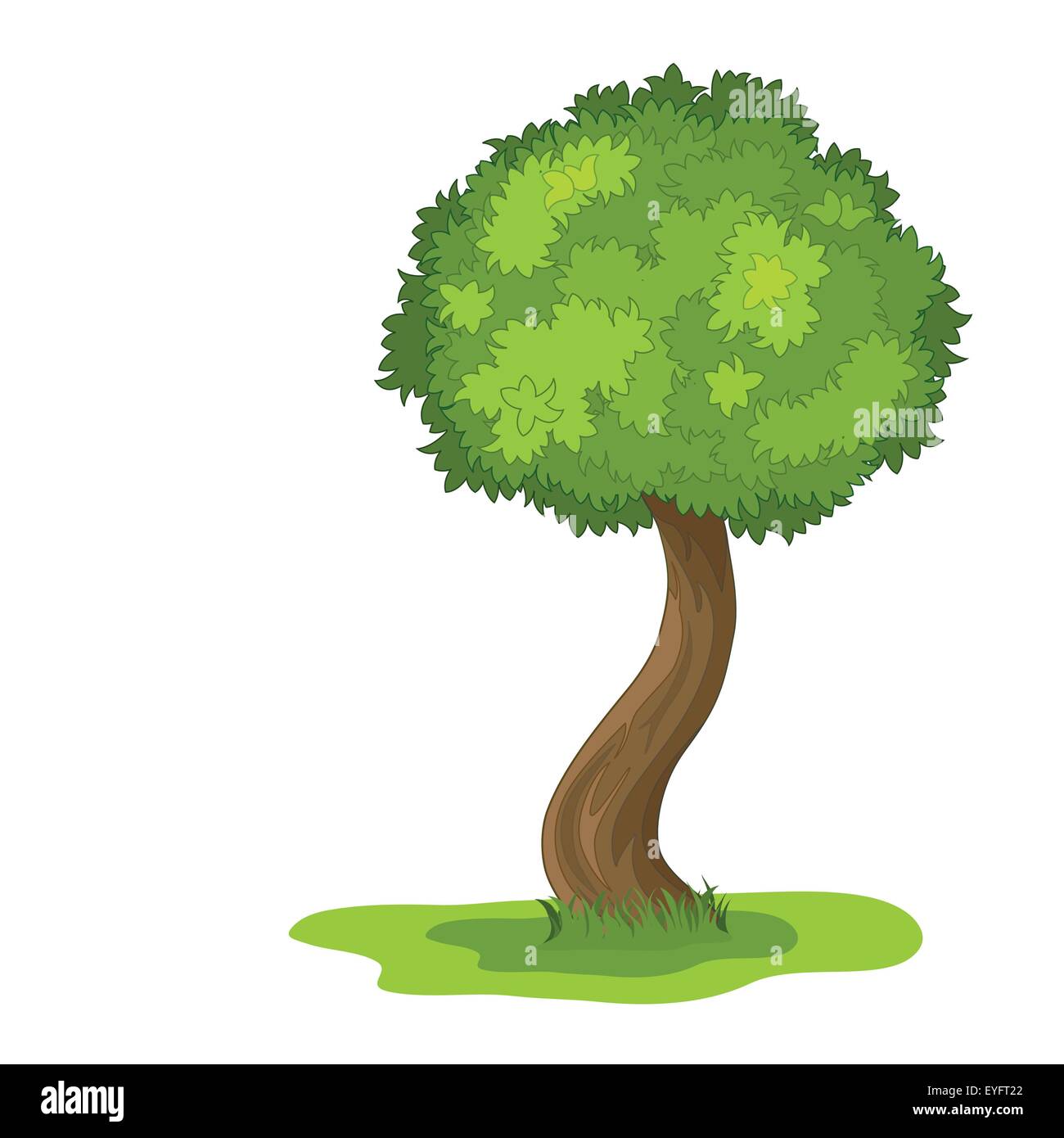 Deciduous tree vector vectors hi-res stock photography and images - Alamy