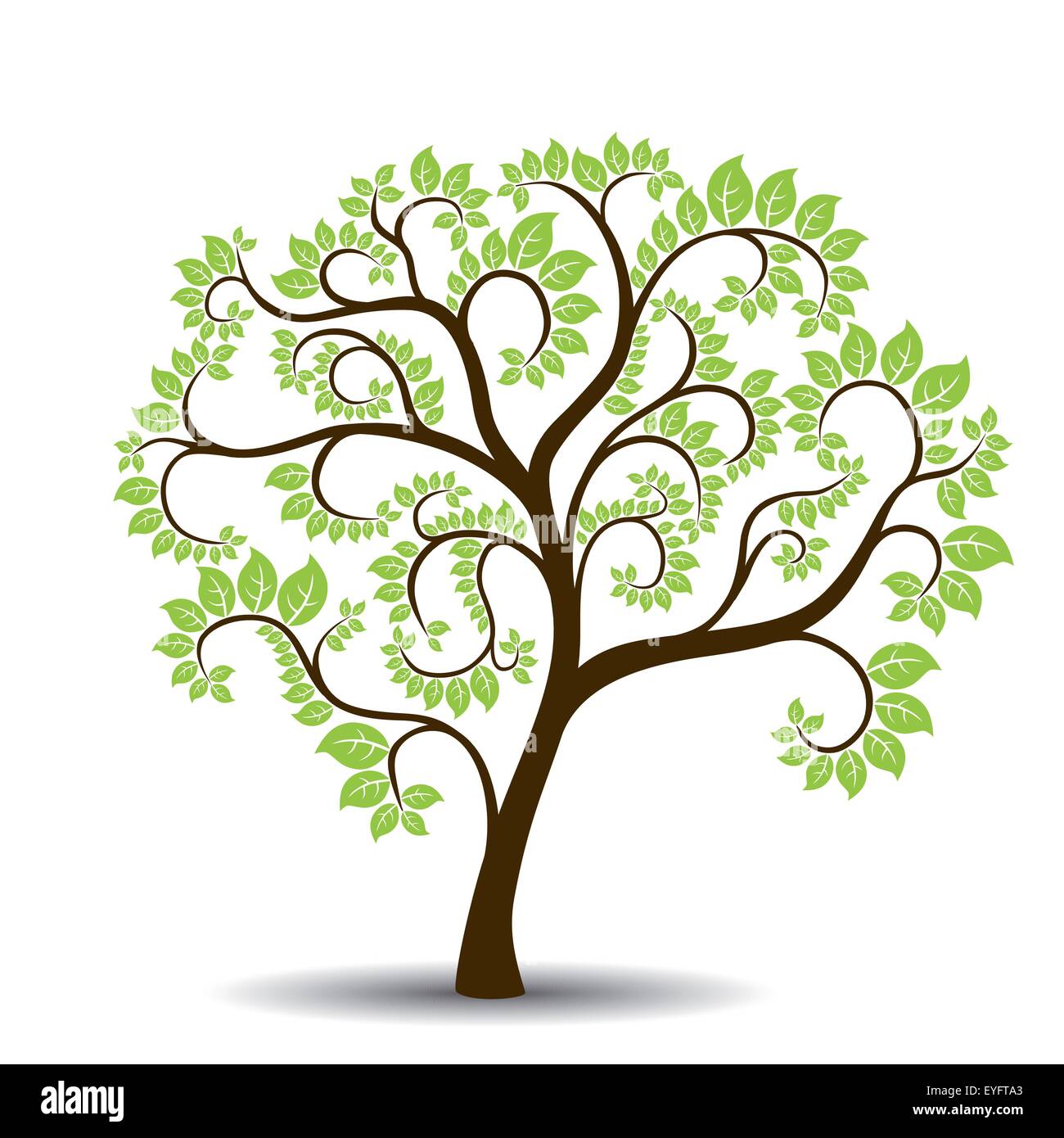 Summer tree leaves Stock Vector Images - Alamy
