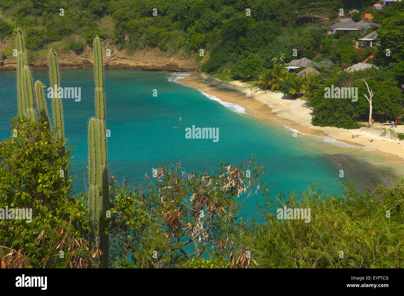 Caribbean, Dr Groom's Beach; Grenada Stock Photo - Alamy