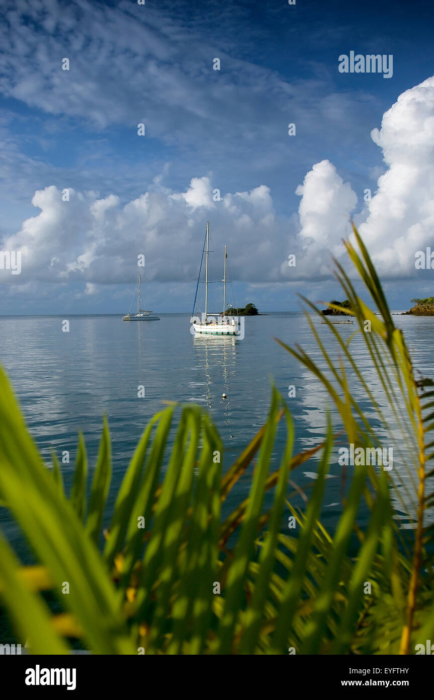 True blue bay grenada hi-res stock photography and images - Alamy