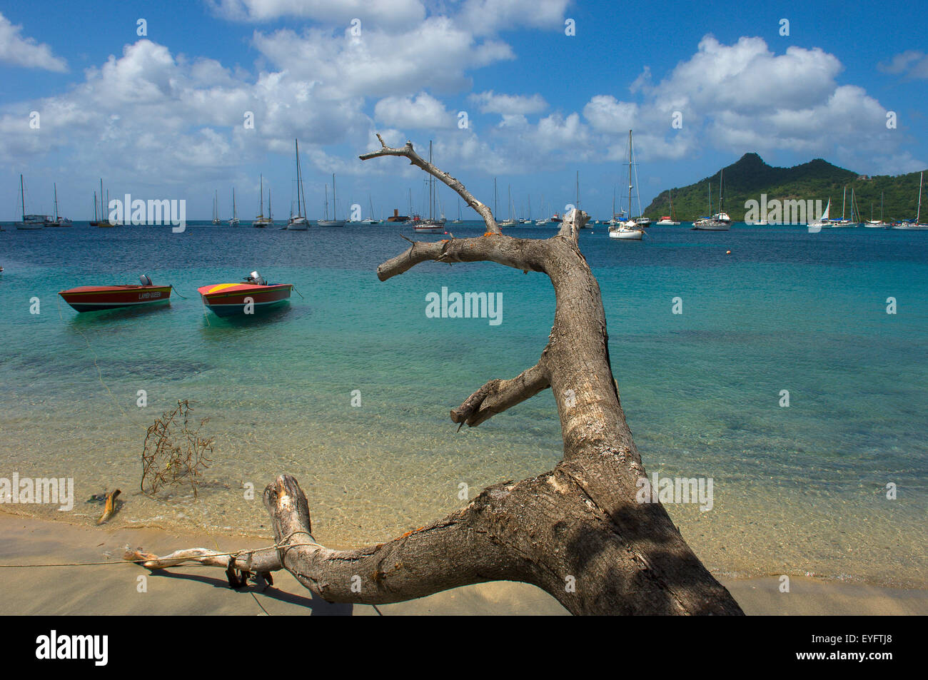 Carriacou island people hi-res stock photography and images - Alamy