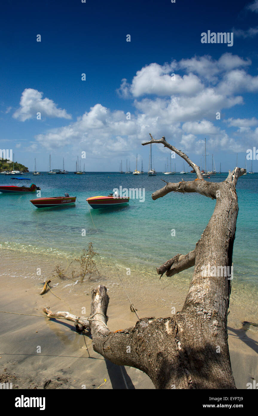 Caribbean, Grenada, Grenadines, View of Tyrrel Bay; Carriacou Island ...