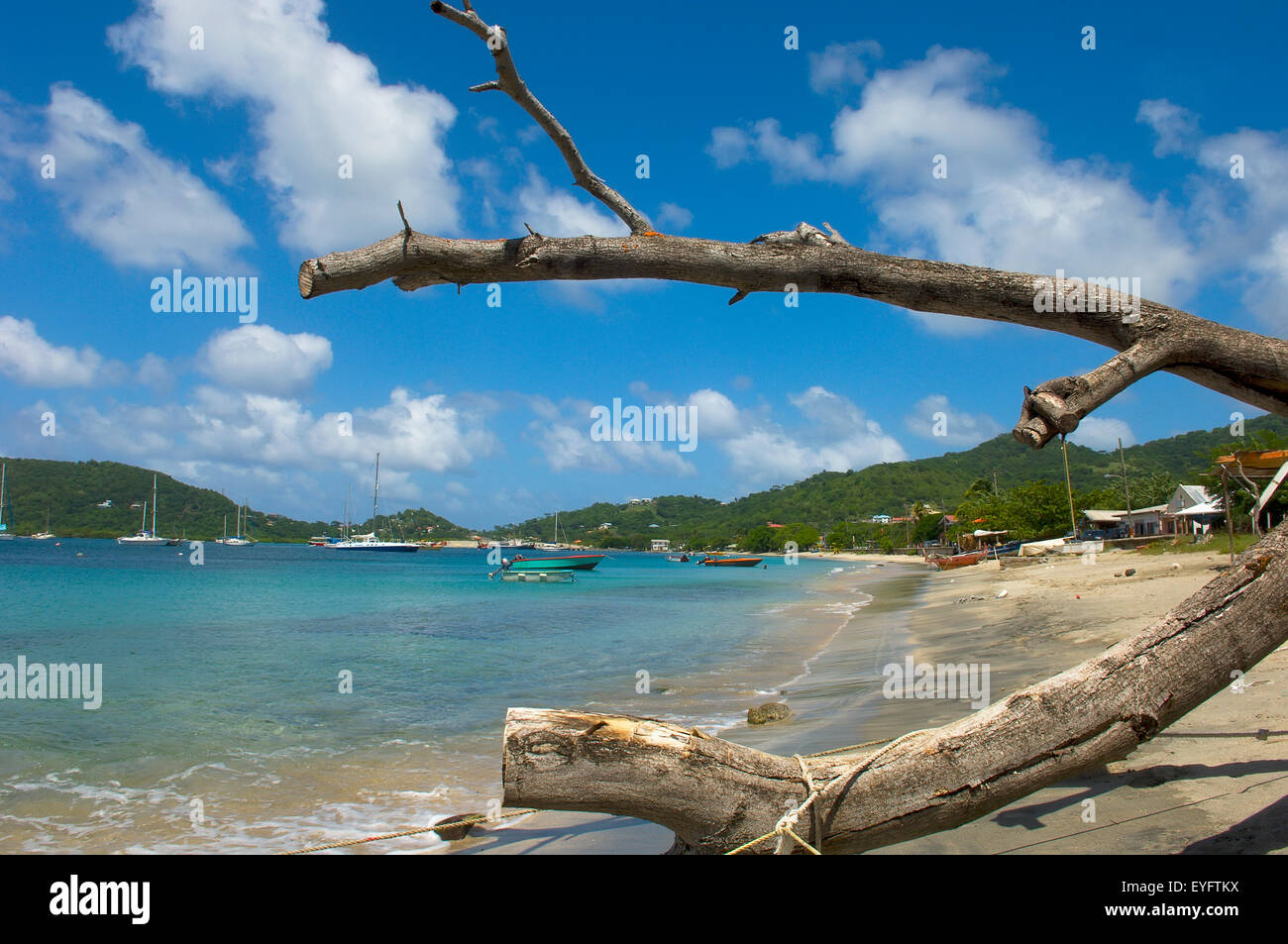 Caribbean, Grenada, Grenadines, View of Tyrrel Bay; Carriacou Island ...