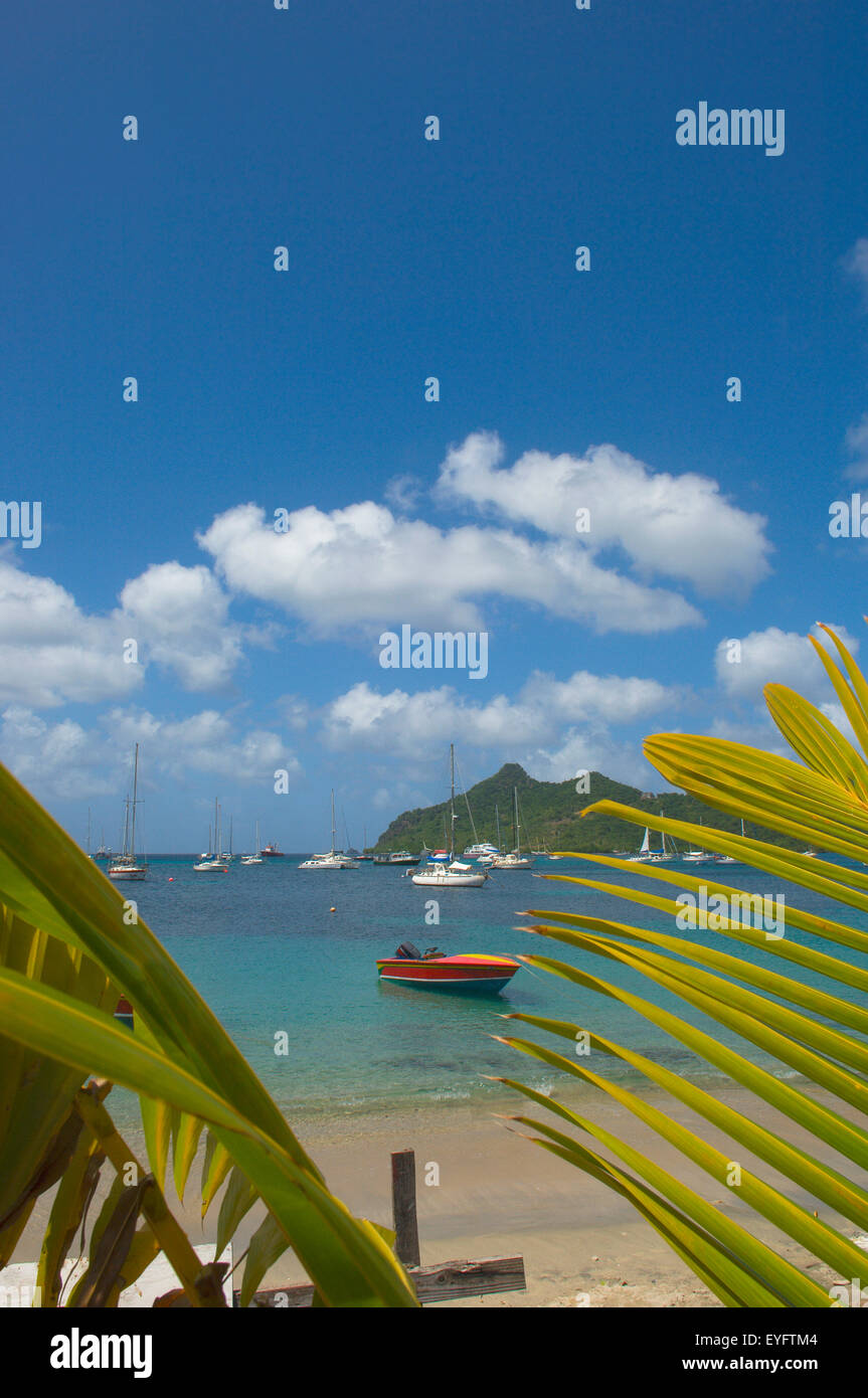 Carriacou island people hi-res stock photography and images - Alamy