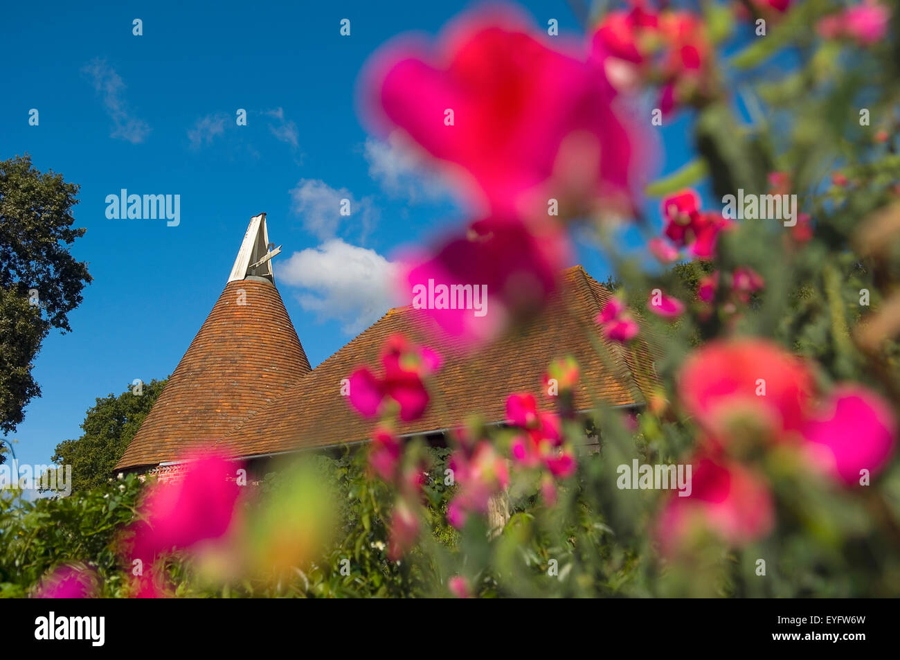 UK, Perch Hill Farm and Gardens; East Sussex Stock Photo - Alamy