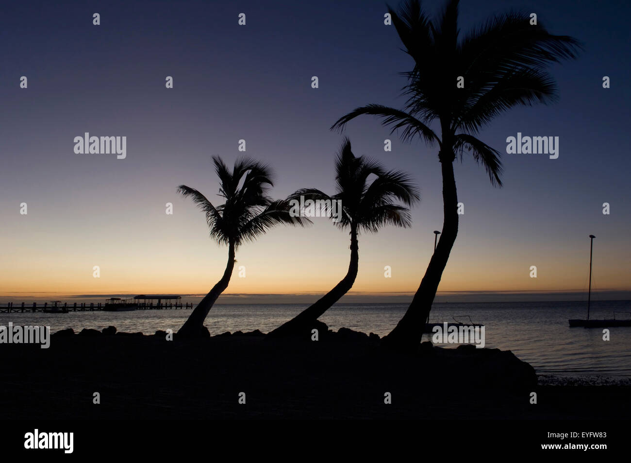 USA, Florida, Florida Keys, Sunrise over pier and boat dock; Islamorada ...