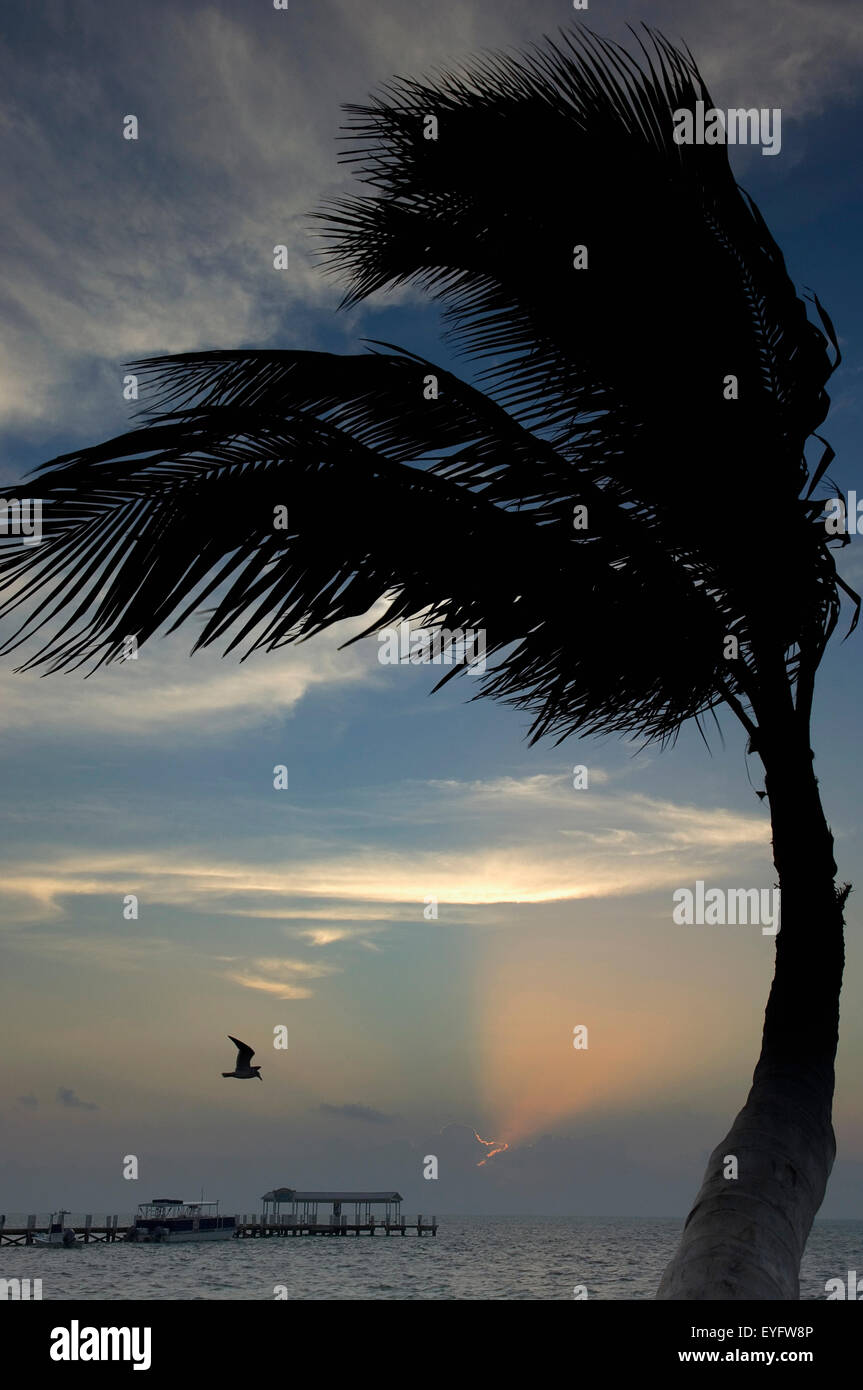 USA, Florida, Florida Keys, Sunrise over pier and boat dock at ...