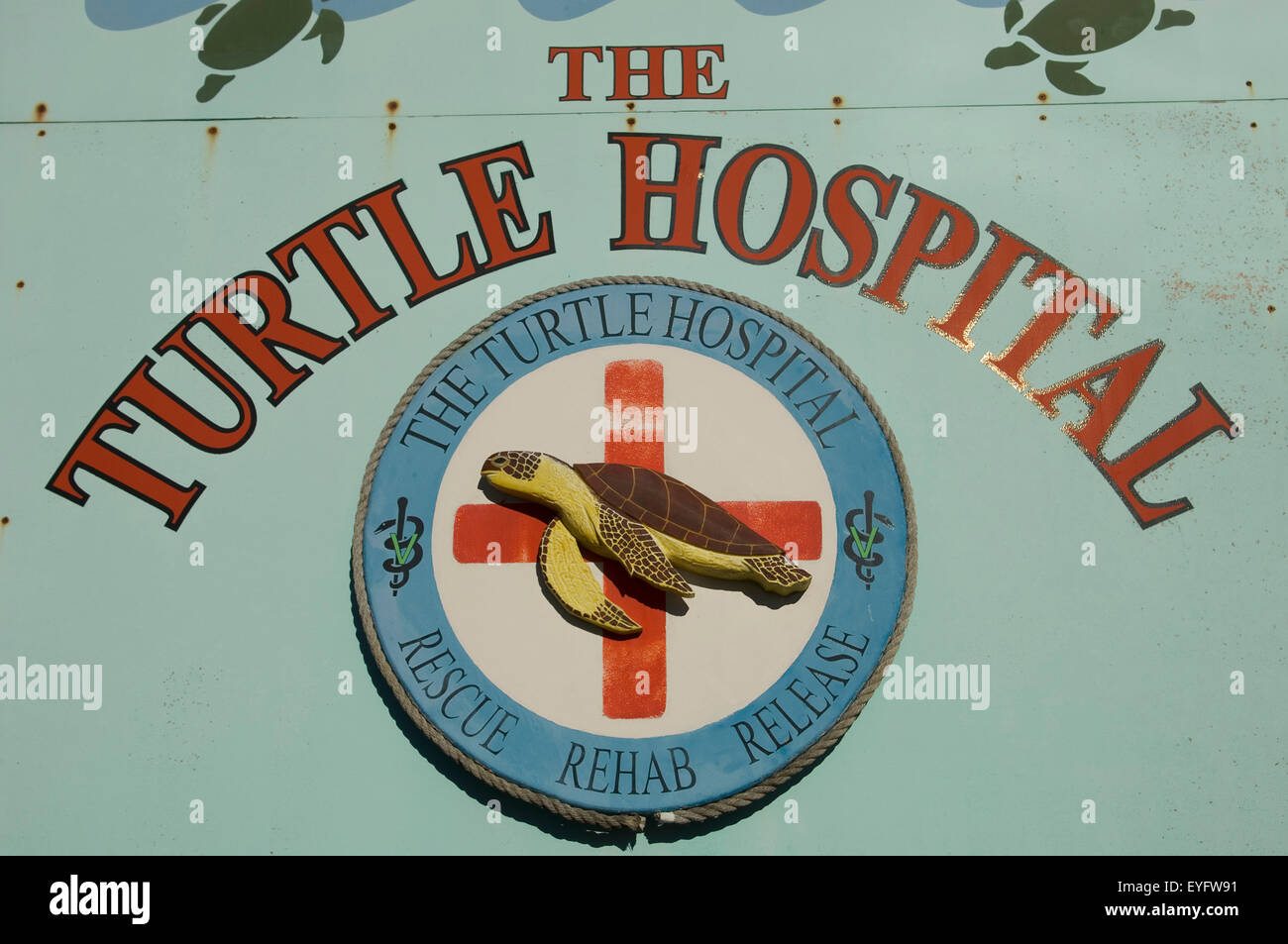 USA, Florida, Florida Keys, Turtle Hospital; Marathon Stock Photo - Alamy