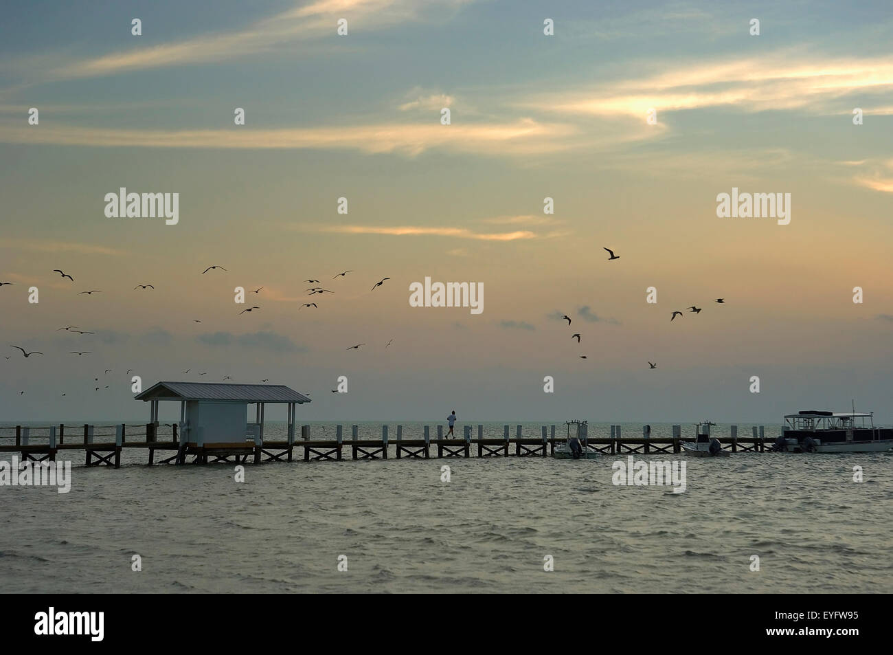 USA, Florida, Florida Keys, Sunrise over pier and boat dock at ...
