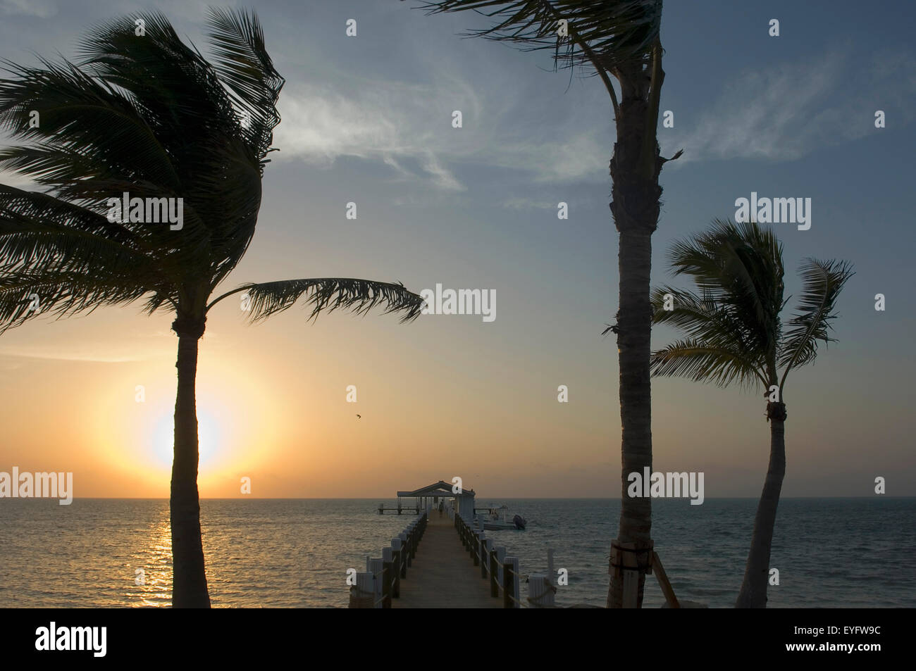 Cheeca lodge hi-res stock photography and images - Alamy