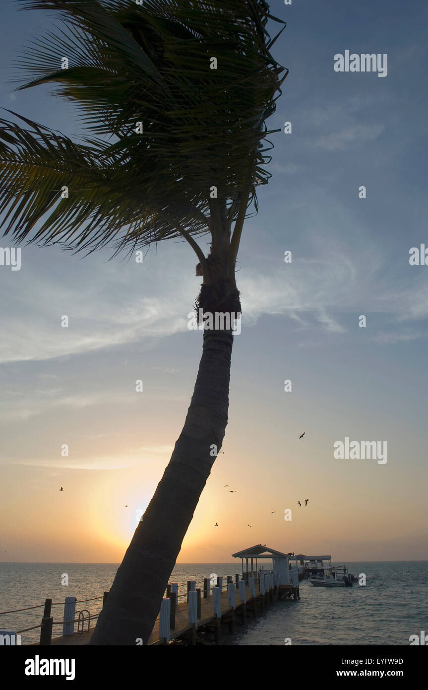 USA, Florida, Florida Keys, Sunrise over pier and boat dock at ...