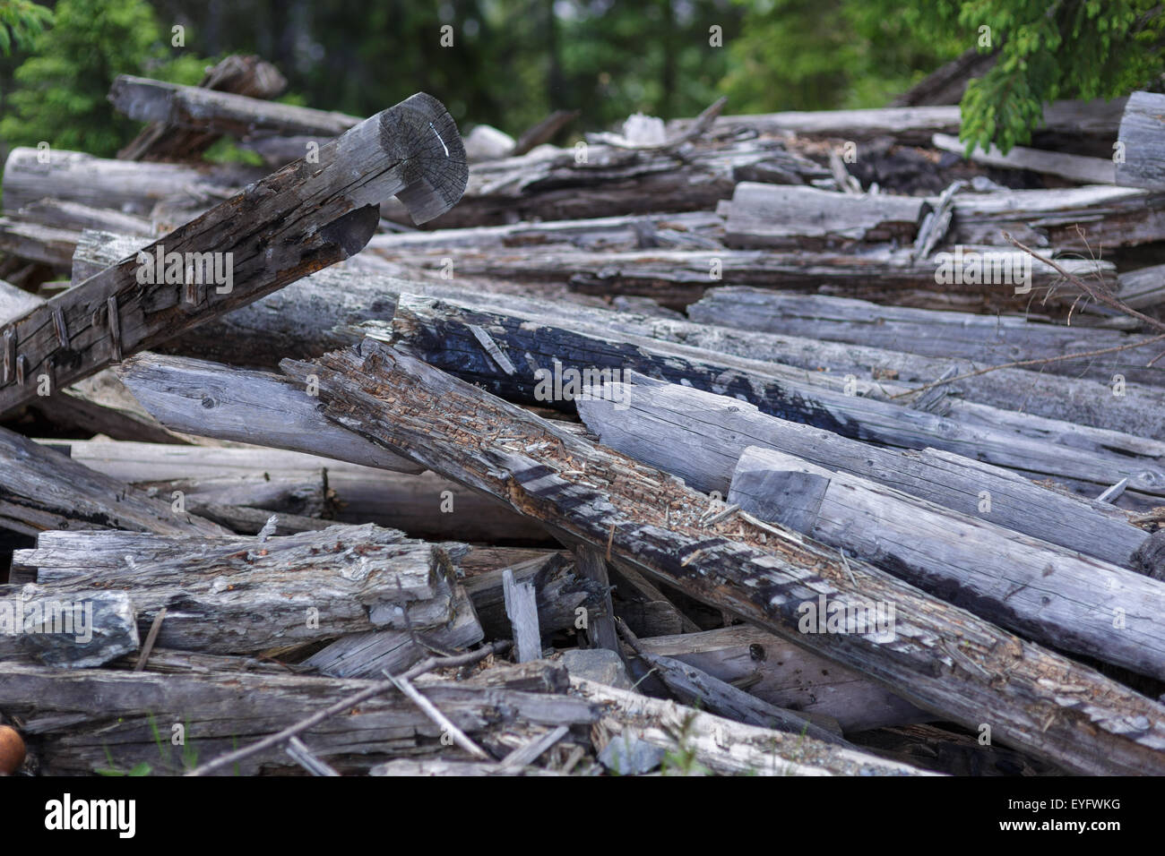 A pile of unused construction wood almost rotten Stock Photo - Alamy
