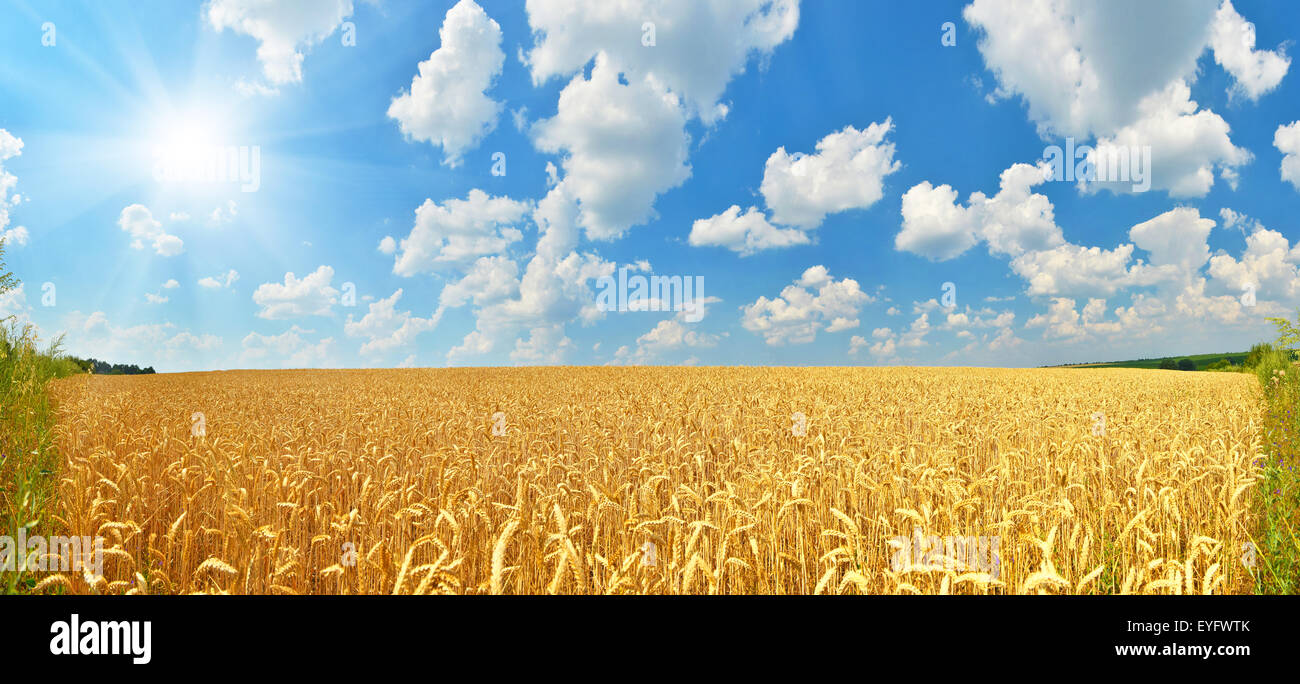 Landscape wheat hi-res stock photography and images - Alamy