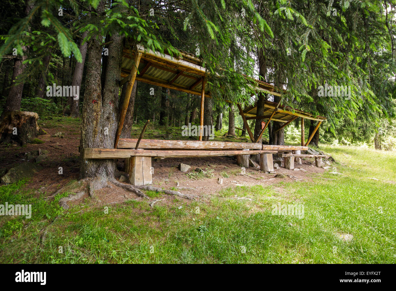 A resting place with bench and roof, near an old fir forest Stock Photo ...