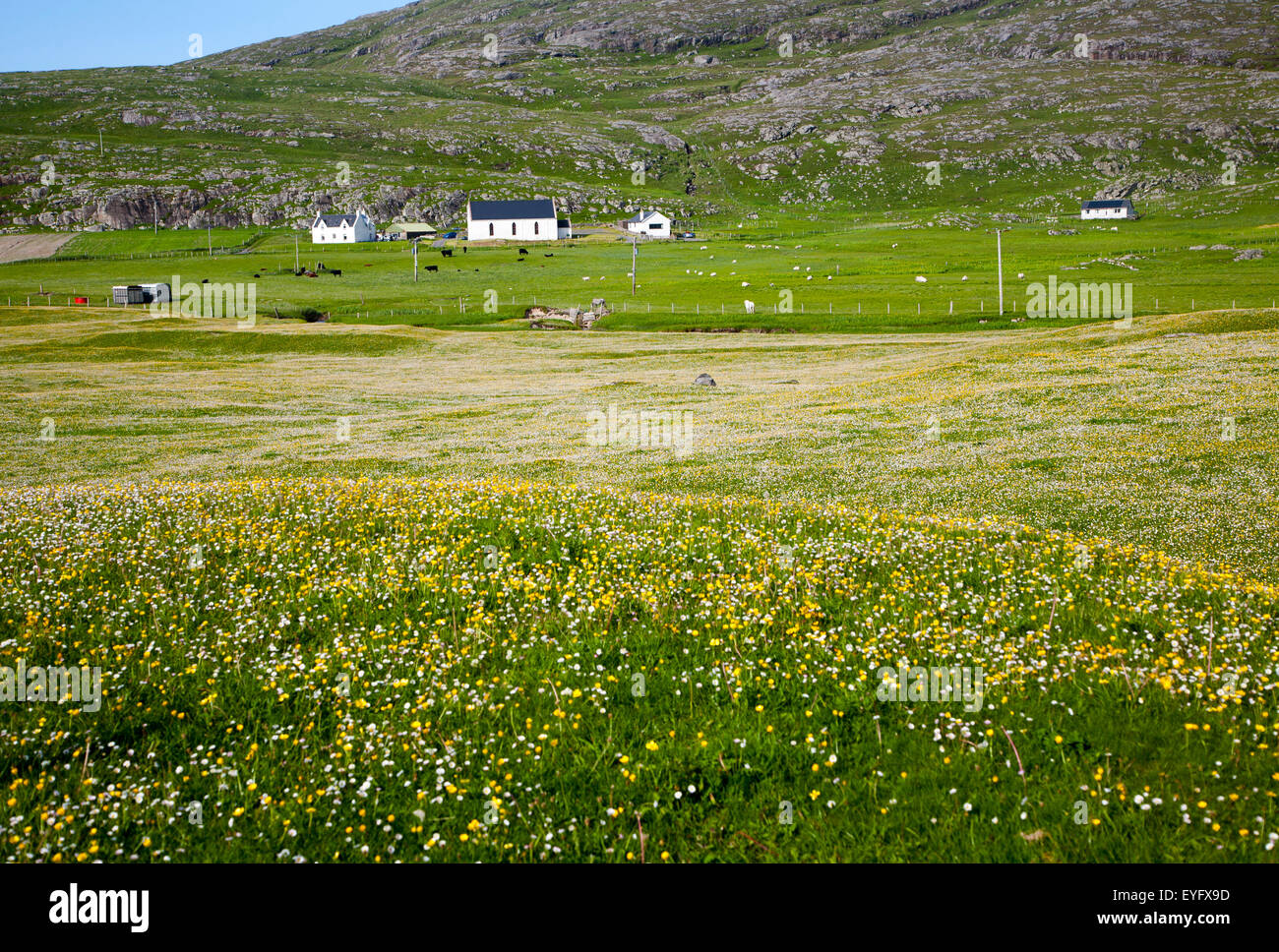 Croft farmhouses in small village of Borgh, Barra, Outer Hebrides ...