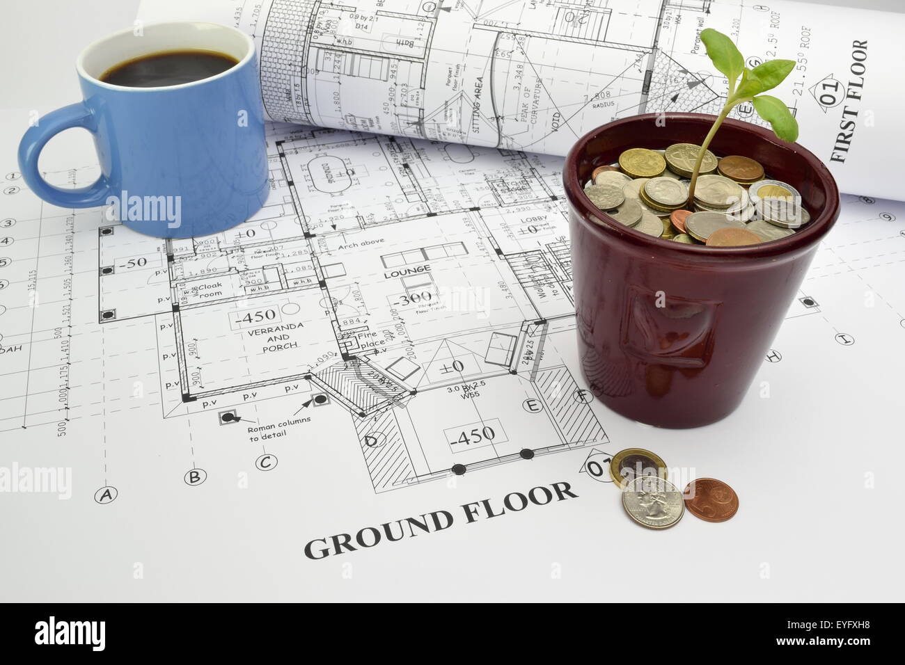 Funding the dream house construction project using a money tree ...