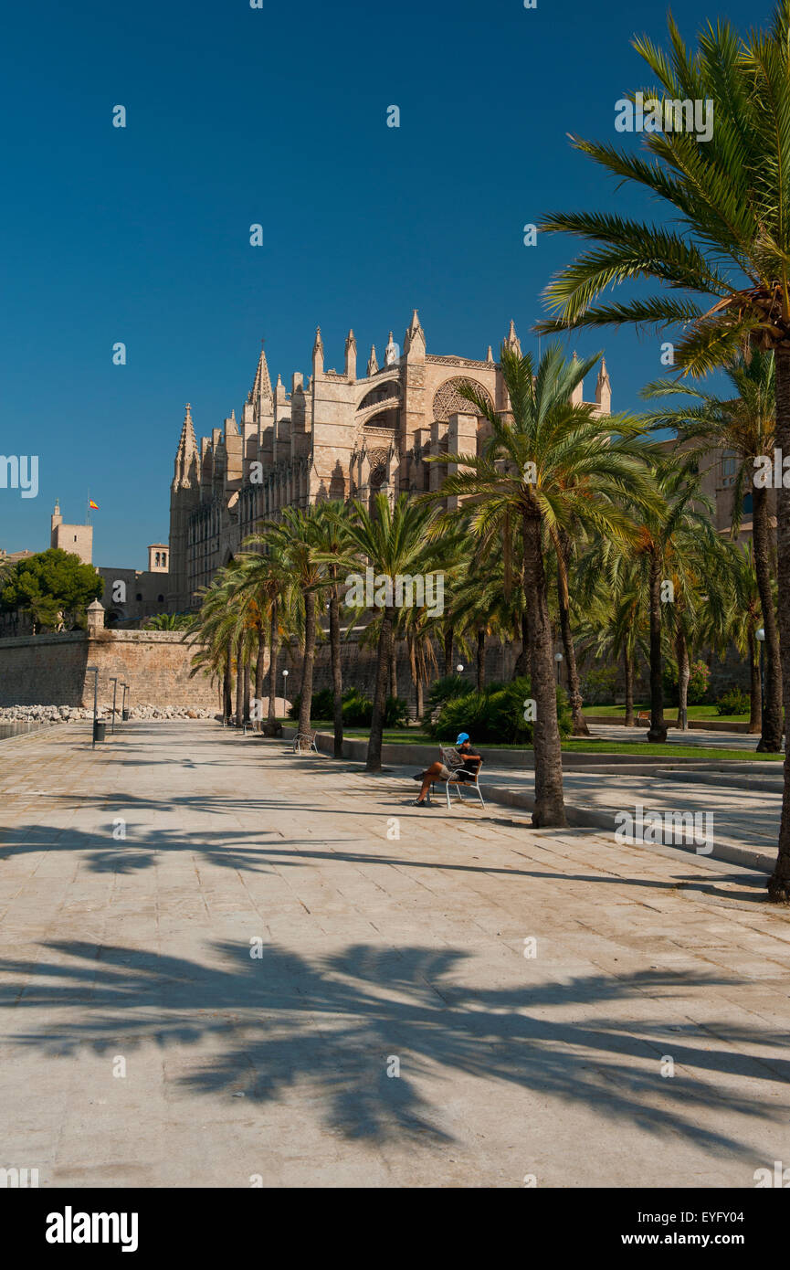 Spain, Majorca, Palm trees in Parc de la Mar leading to Cathedral ...