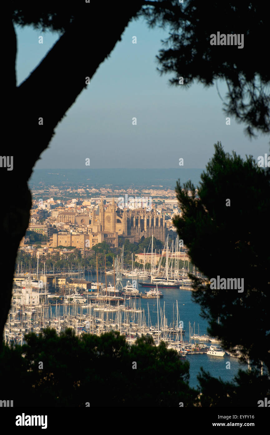 Spain, Majorca, Looking through trees of Parc de Bellver; Palma Stock ...