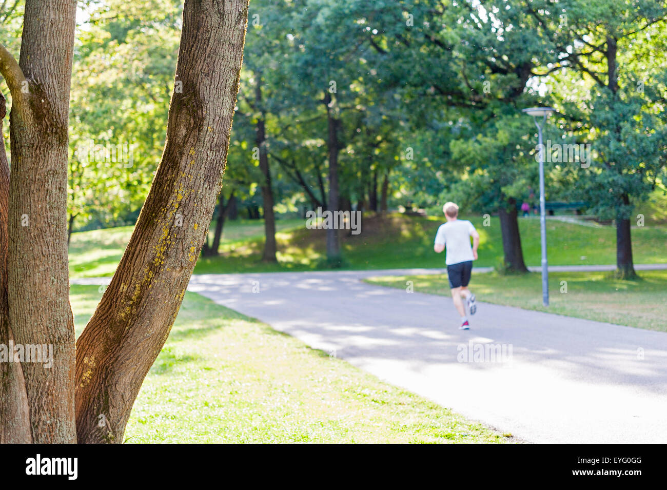 Runner in park Stock Photo - Alamy