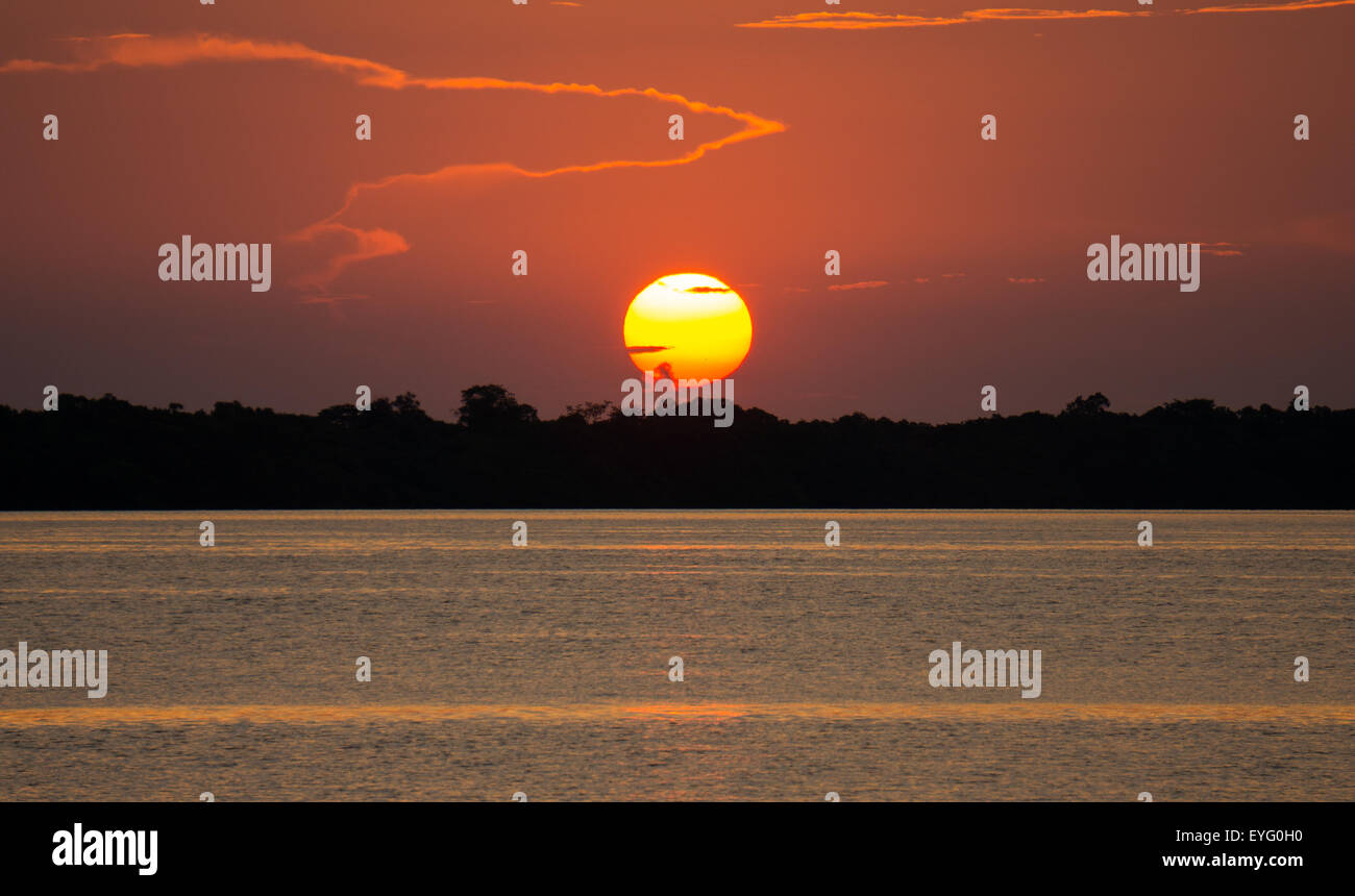 Amazon forest clouds hi-res stock photography and images - Alamy