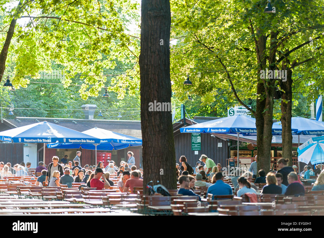 Hirschgarten Biergarten -. Munich, Bavaria, Germany Stock Photo - Alamy