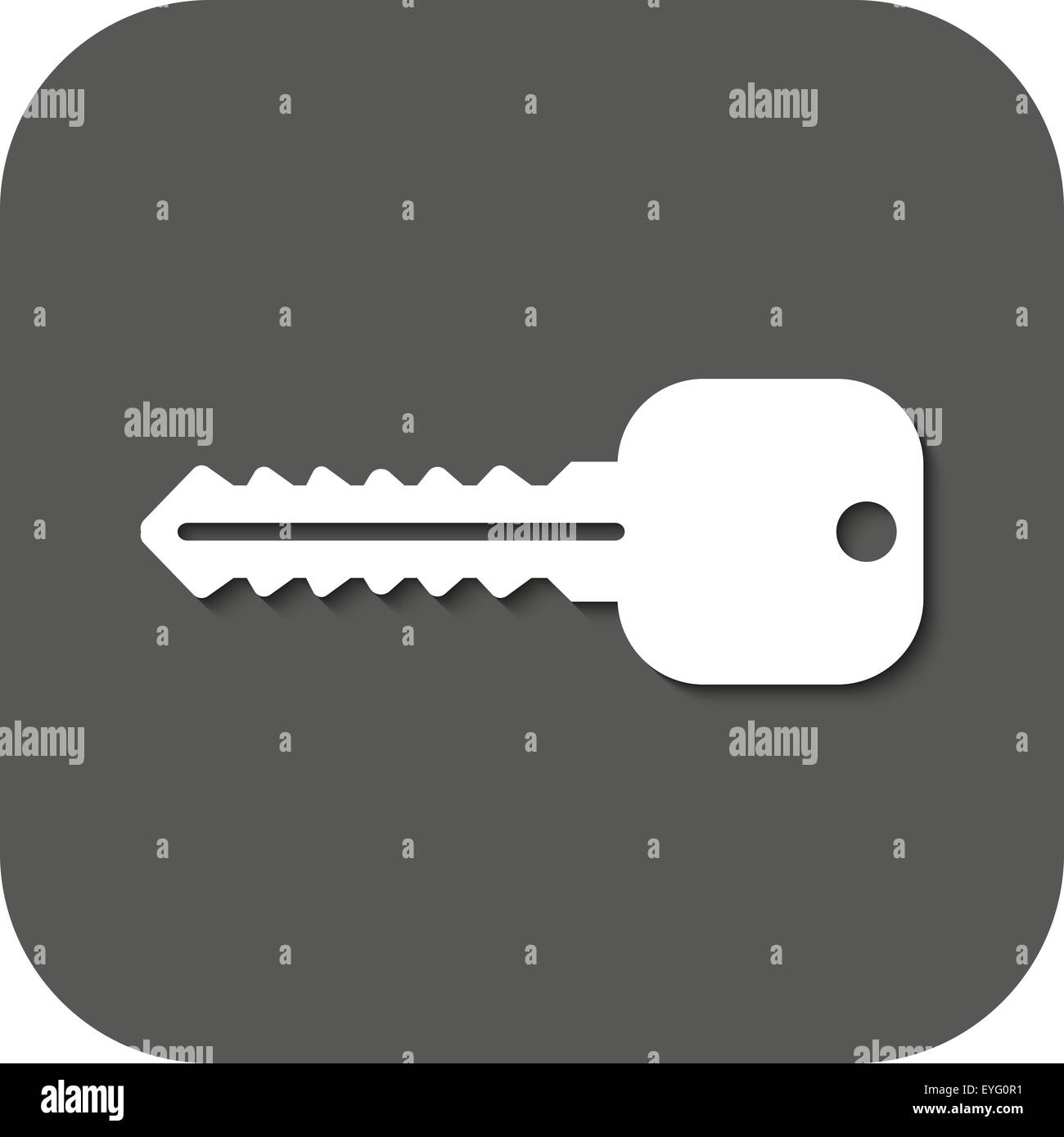 The key icon. Key symbol. Flat Stock Vector Image & Art - Alamy