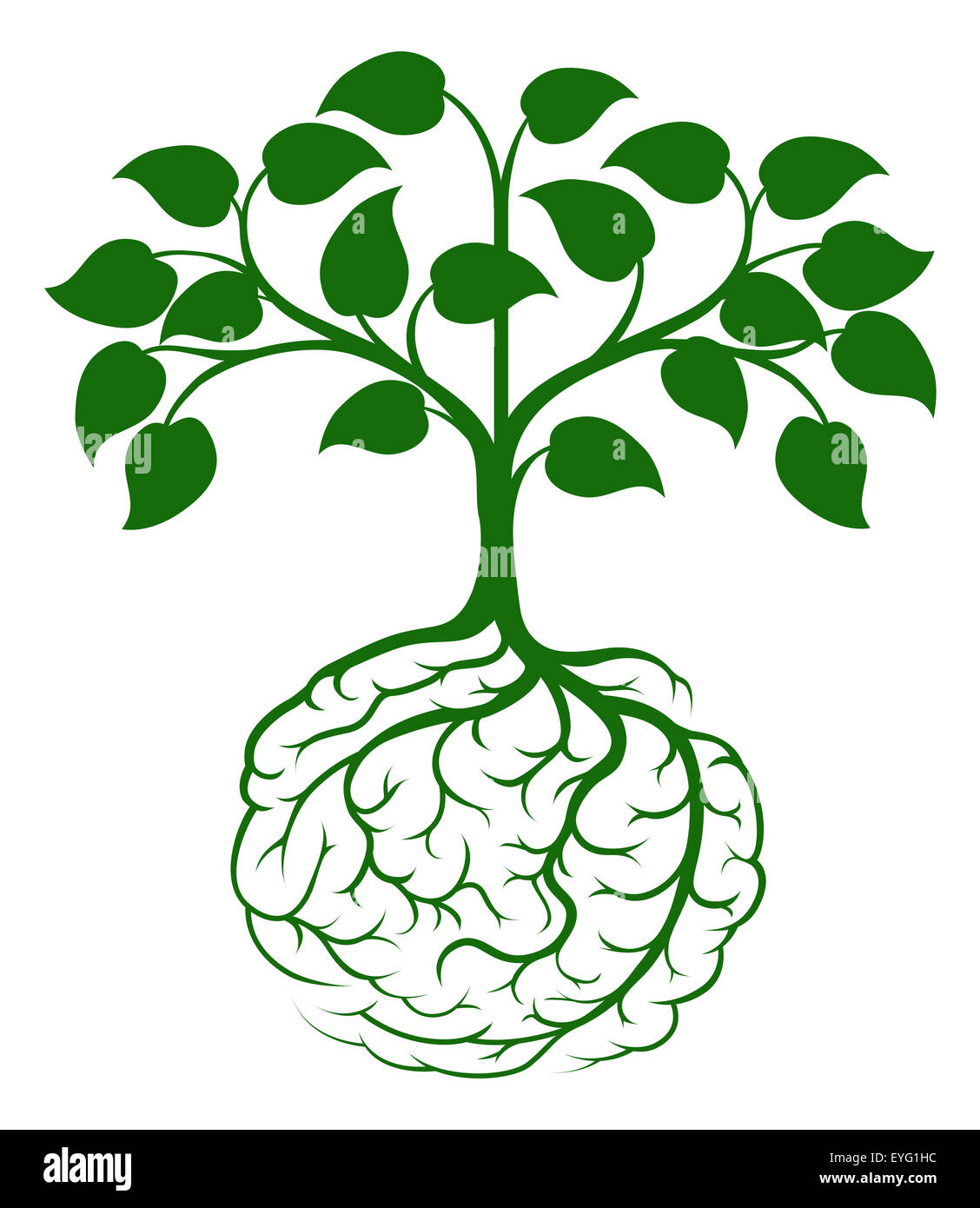 A tree growing from rooots shaped like a human brain Stock Photo - Alamy
