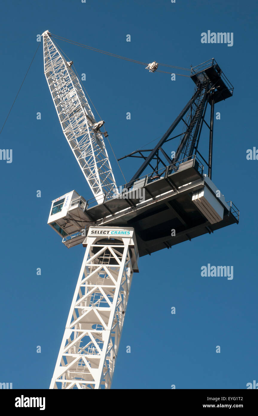 Australian crane hi-res stock photography and images - Alamy