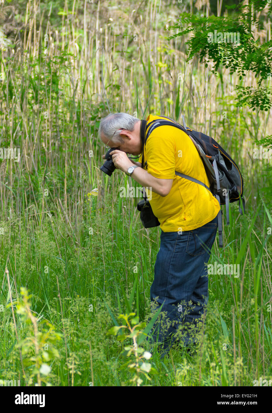 Mature photographer taking a photo of butterfly Stock Photo - Alamy