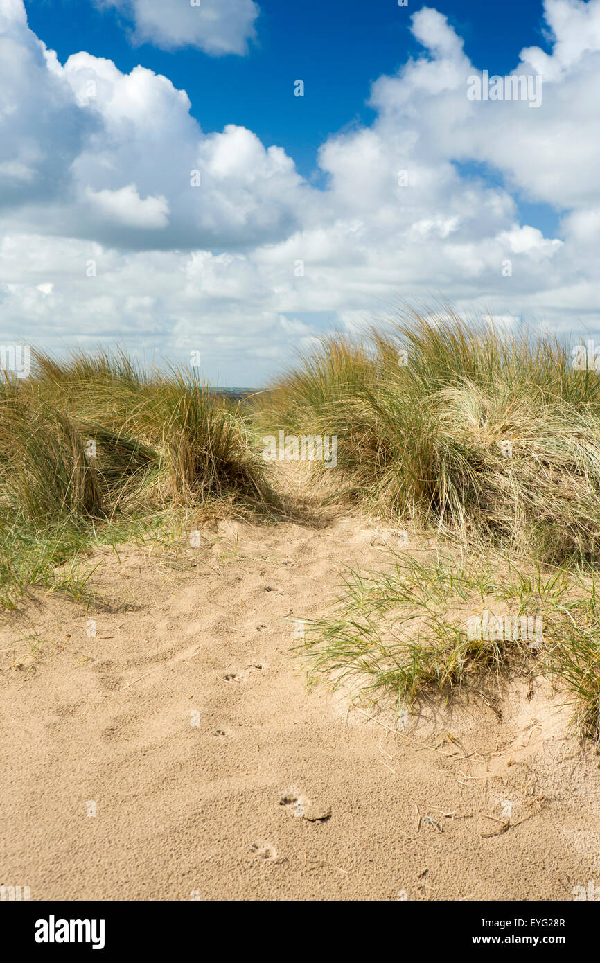 Welsh sand dunes hi-res stock photography and images - Alamy
