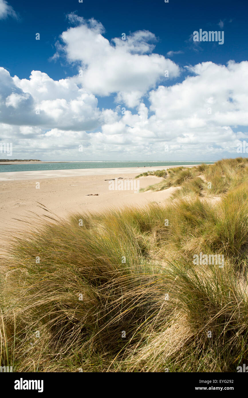 Dovey estuary hi-res stock photography and images - Alamy