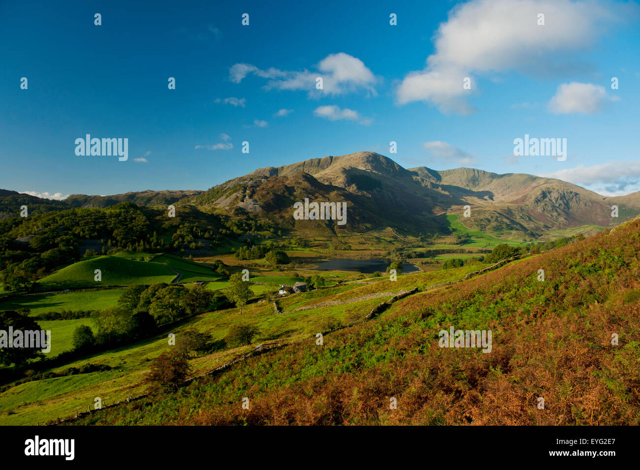 England, Cumbria, Landscape with Tilberthwaite Fells; Lake District ...