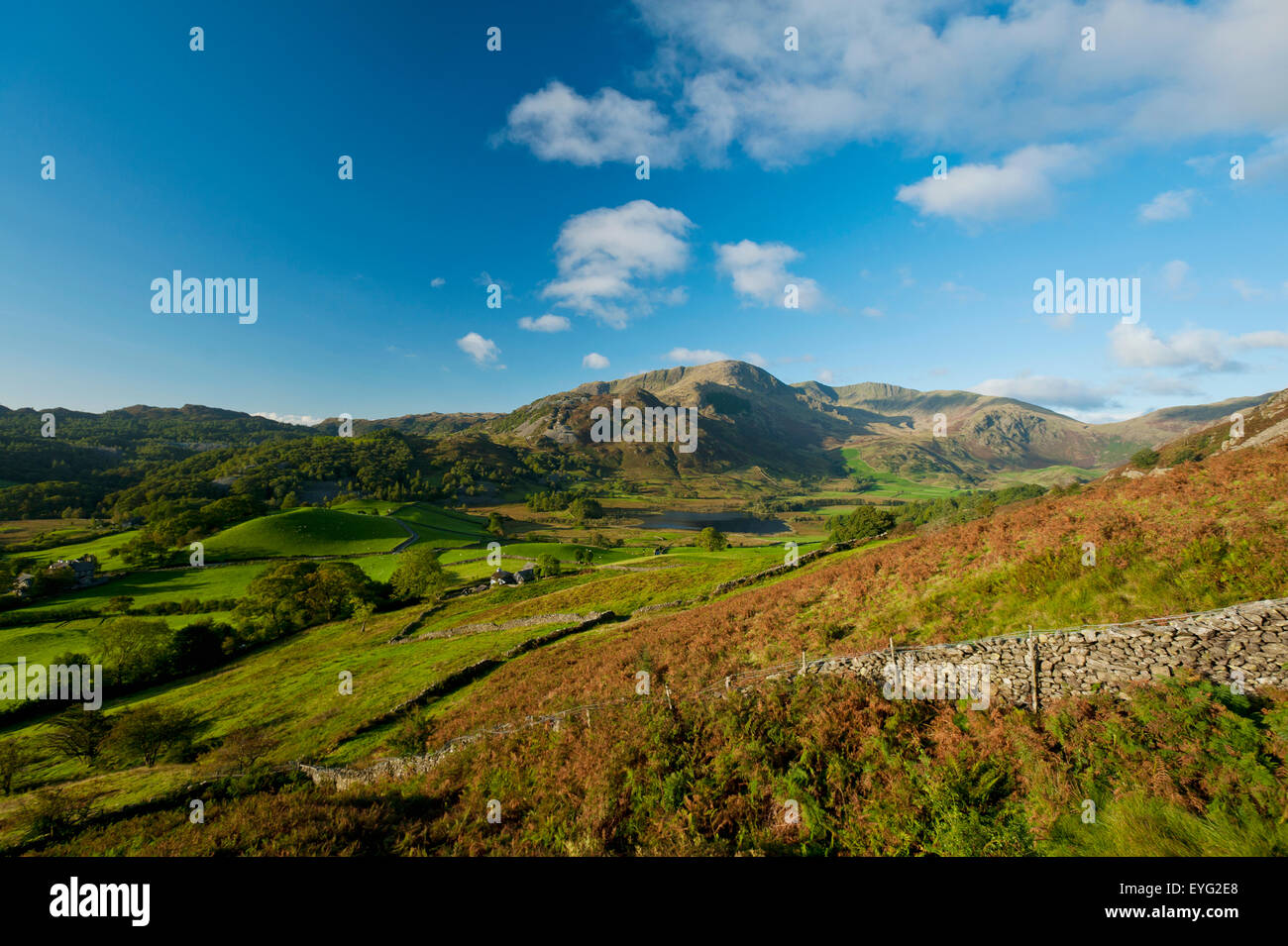 England, Cumbria, Landscape with Tilberthwaite Fells; Lake District ...